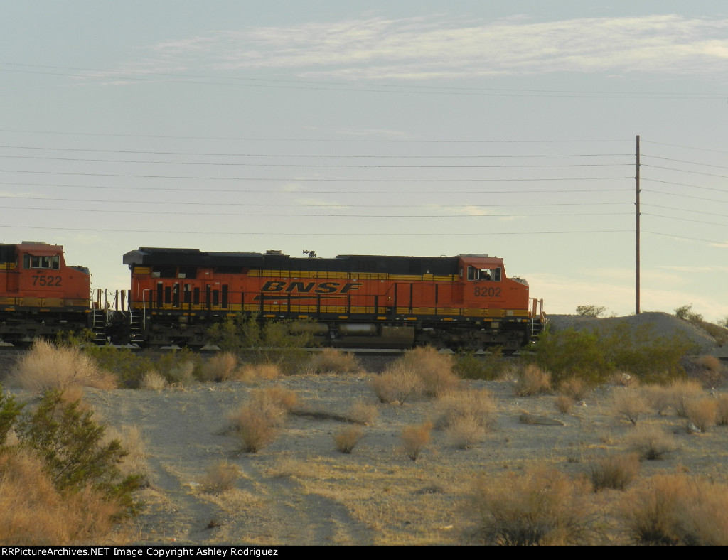BNSF 8202